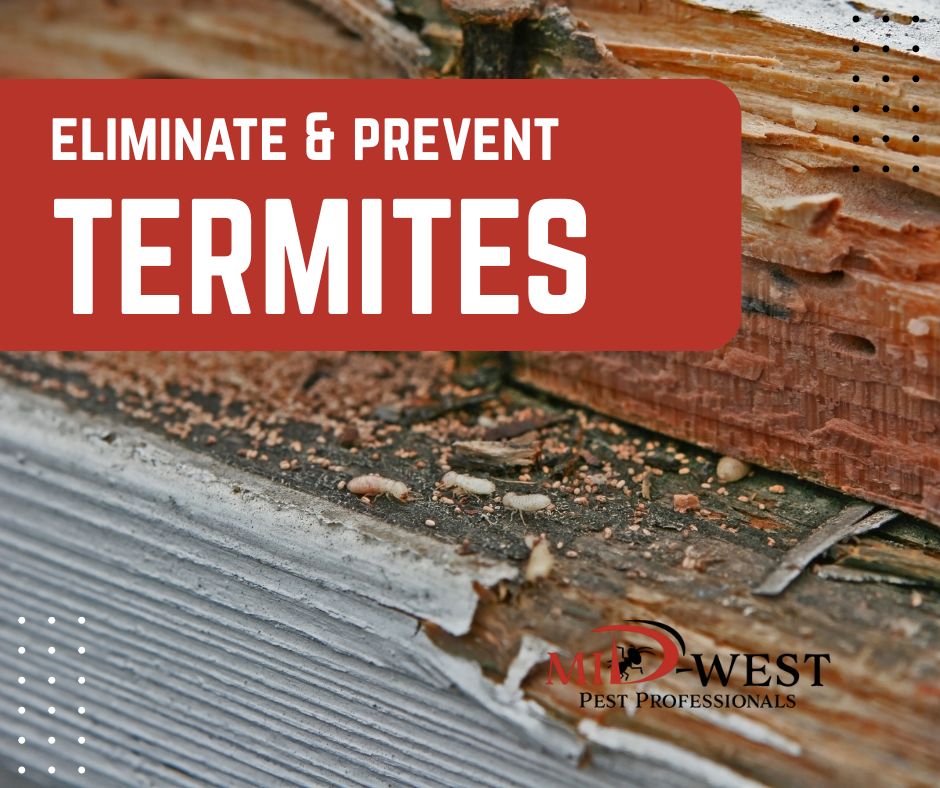 Termite Prevention Tips – Mid-West Pest Professionals